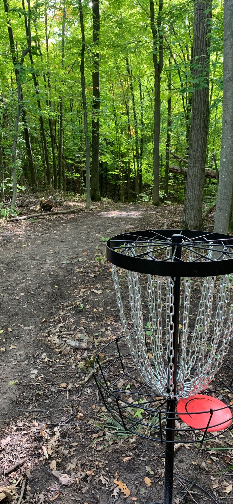 Barton City Disc Golf - Your Guide to Disc Golf in Barton City ...