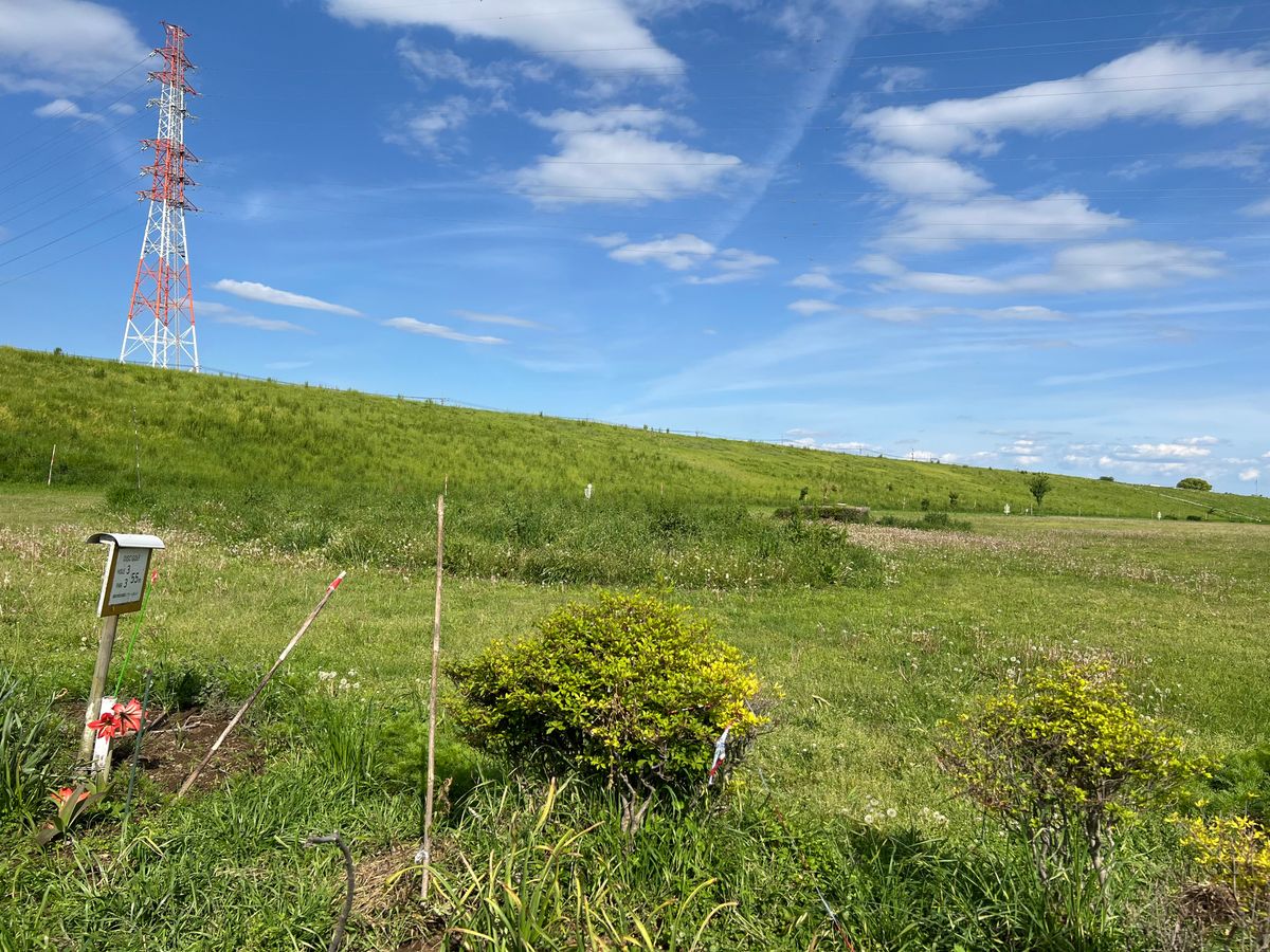 Fukiage-fujimi Disc Golf - Your Guide to Disc Golf in Fukiage-fujimi ...