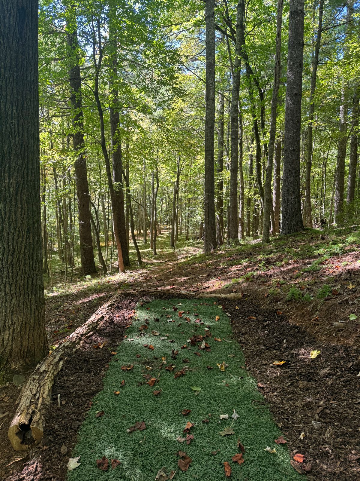 Running Cedar - Deep Gap, North Carolina | UDisc Disc Golf Course Directory