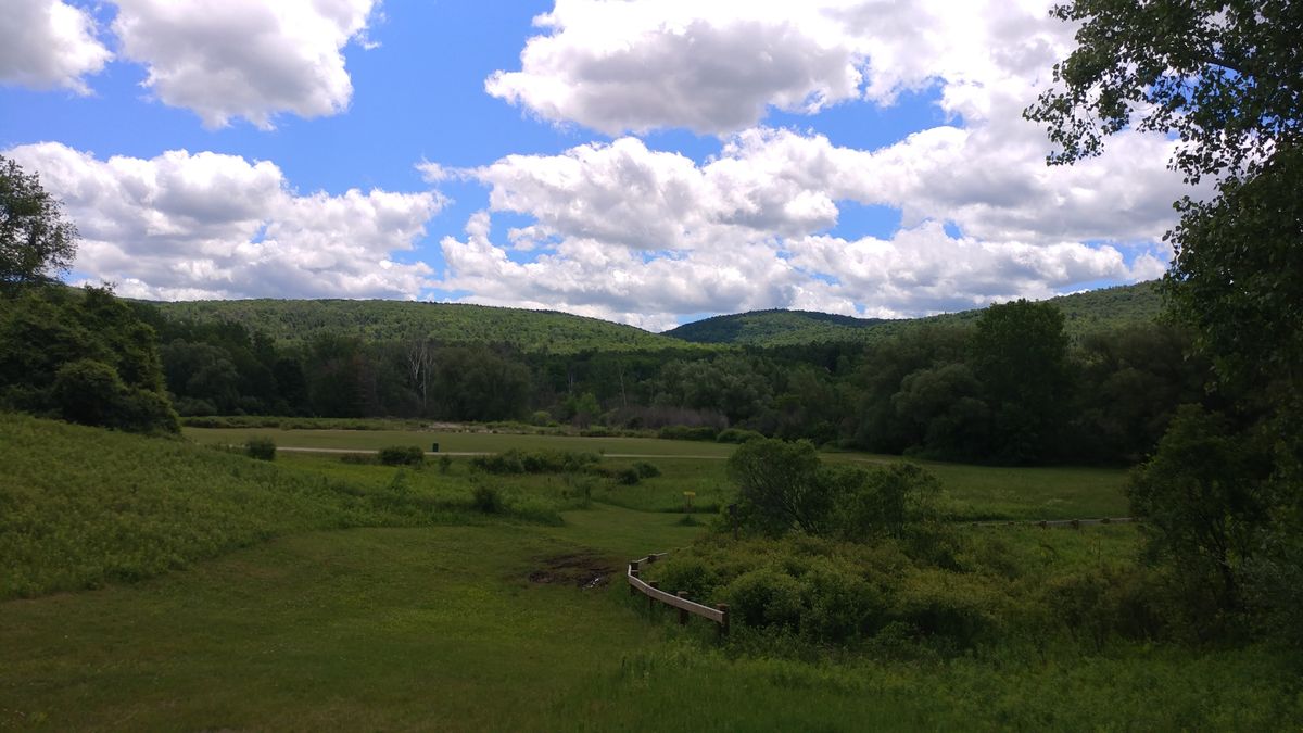 Kirvin Park Disc Golf Course | Course Photos
