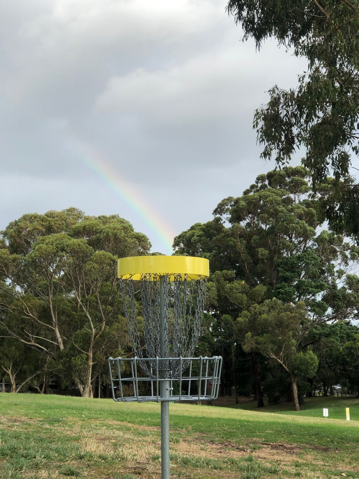Ferntree Gully Disc Golf - Your Guide to Disc Golf in Ferntree Gully ...