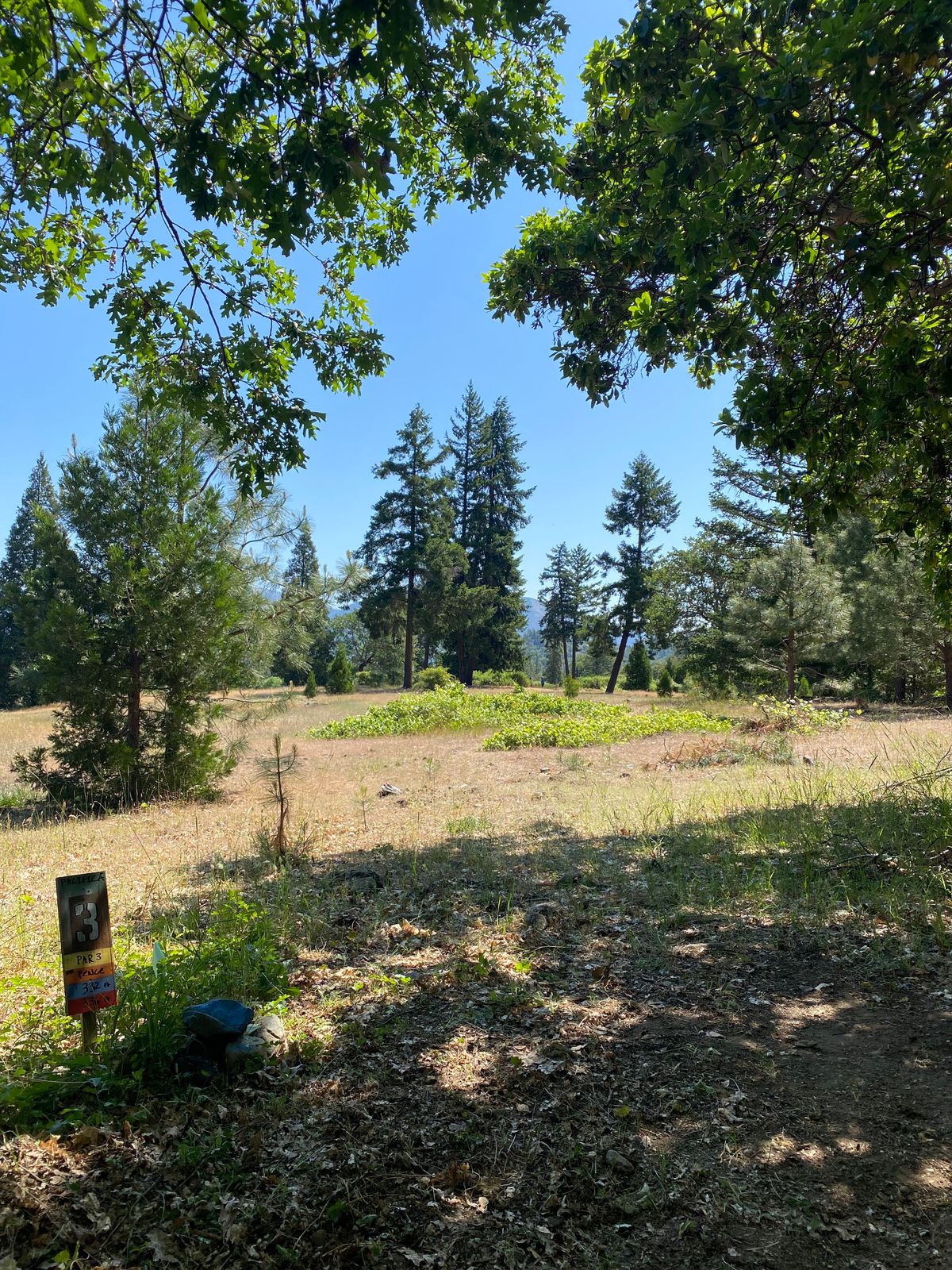 Pacifica - Williams, OR | UDisc Disc Golf Course Directory
