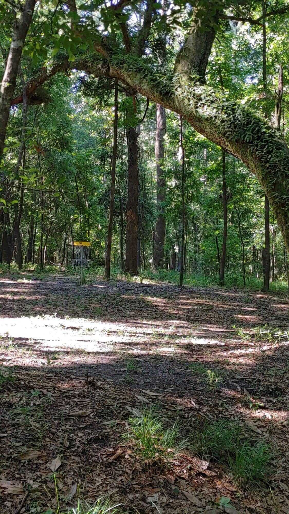 Wannamaker County Park - North Charleston, SC | UDisc Disc Golf Course ...