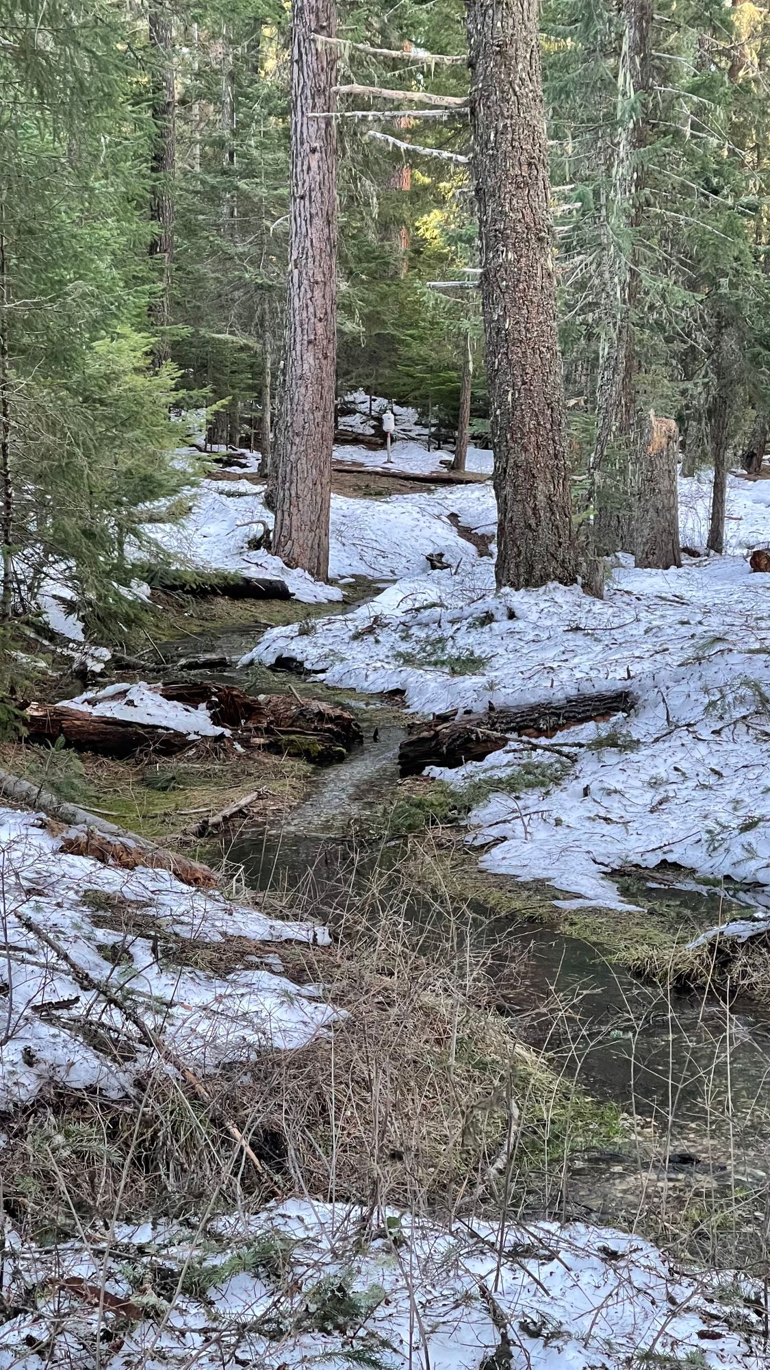 Frog Creek at Shale City - Ashland, OR | UDisc Disc Golf Course Directory