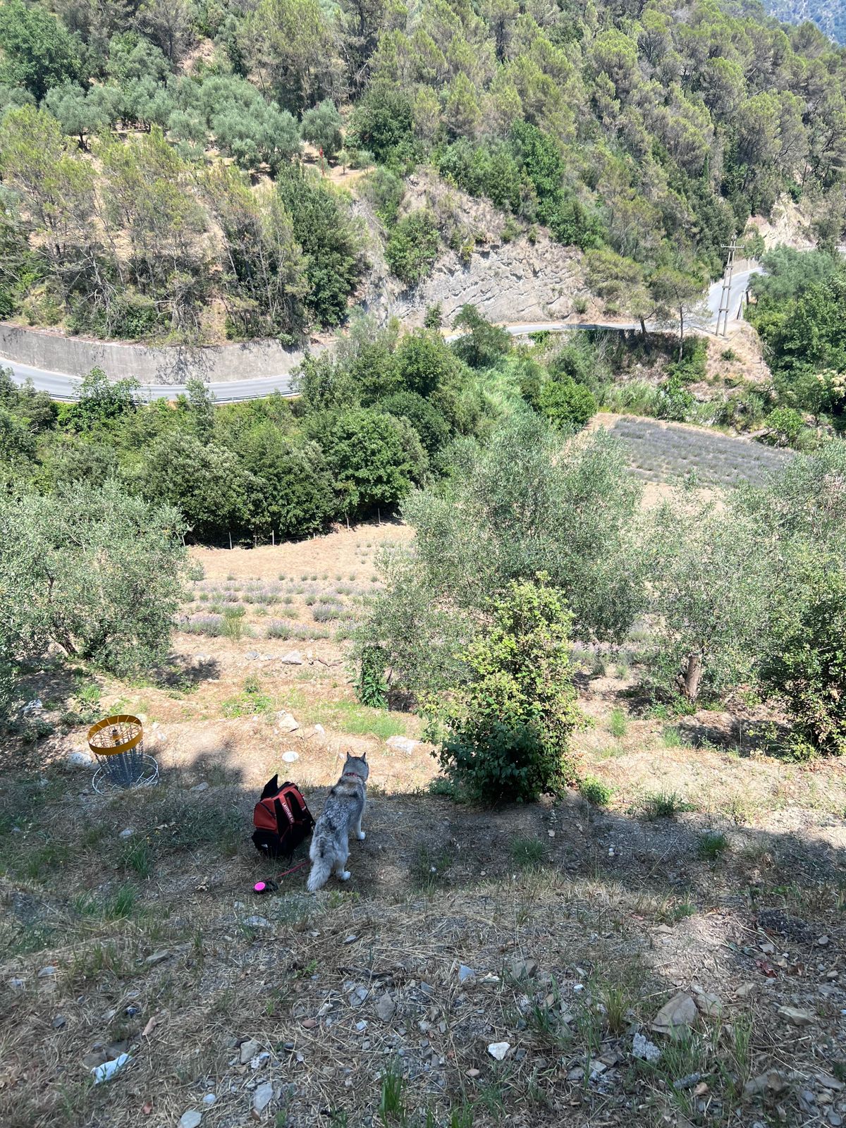 Beausoleil Disc Golf - Your Guide to Disc Golf in Beausoleil, France ...