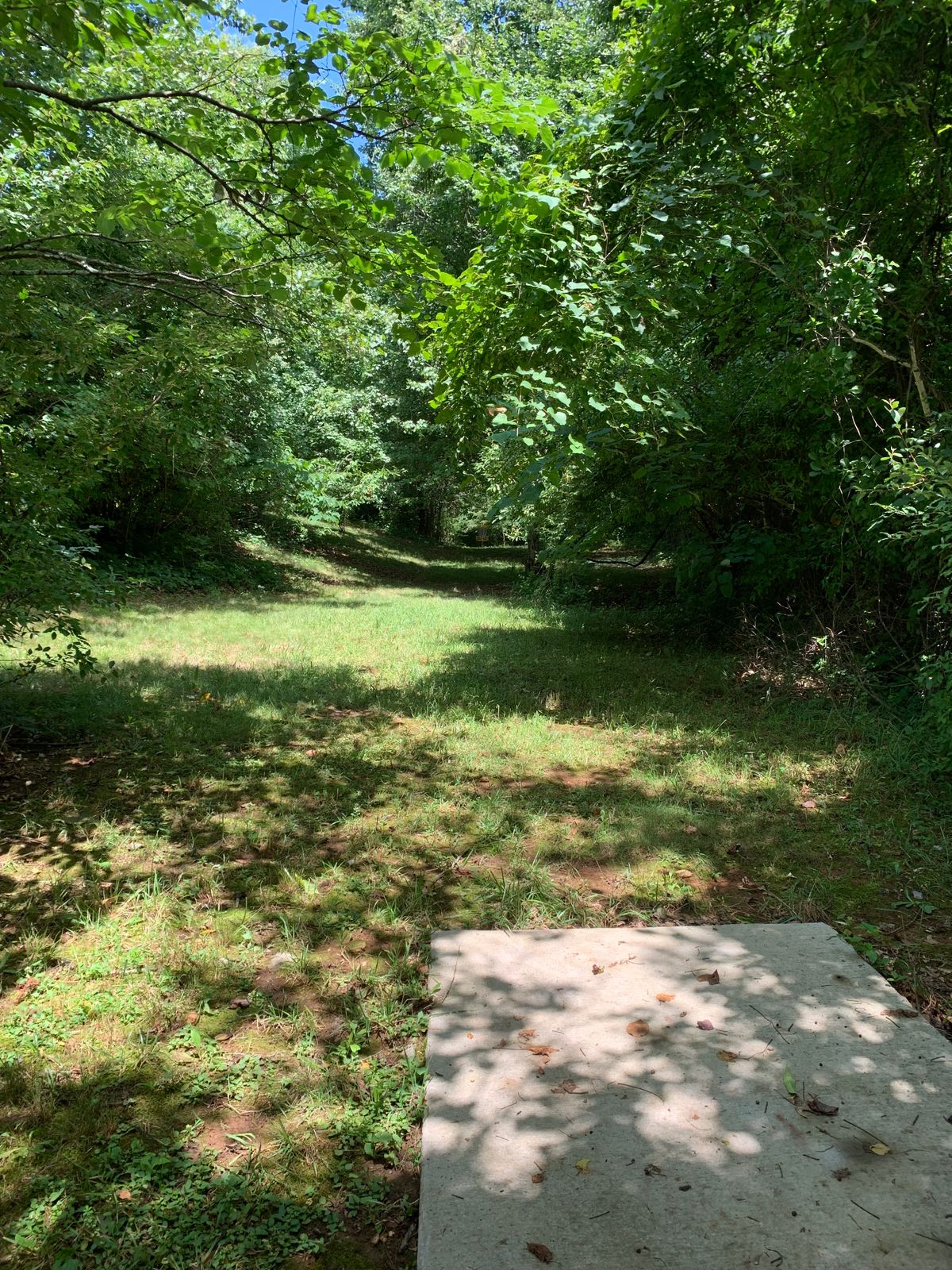 Coomes Center - Abingdon, Virginia | UDisc Disc Golf Course Directory