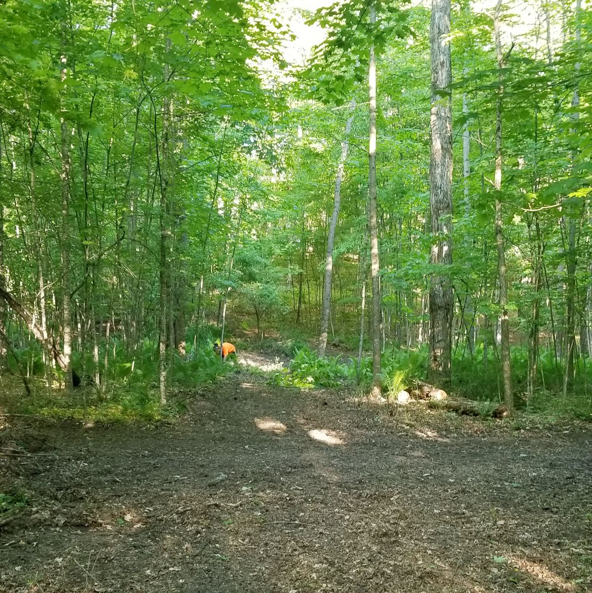 Project Lavin - Barre Town, VT | UDisc Disc Golf Course Directory