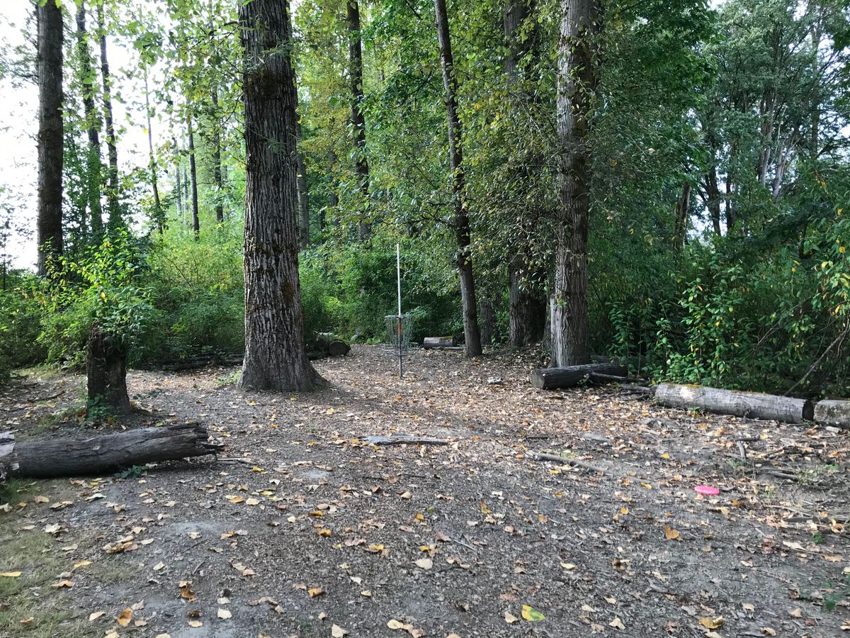Twin Rivers - Arlington, WA | UDisc Disc Golf Course Directory