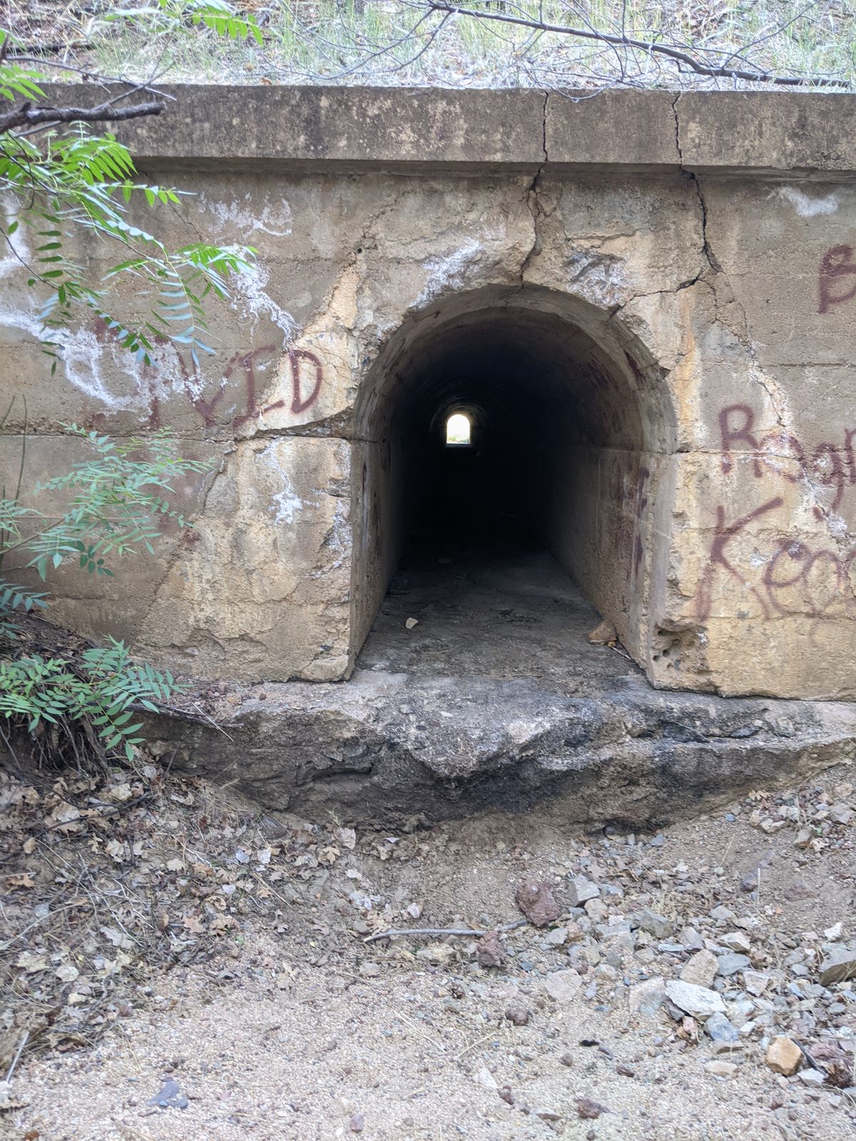 Emmanuel Pines - Prescott, Arizona | UDisc Disc Golf Course Directory