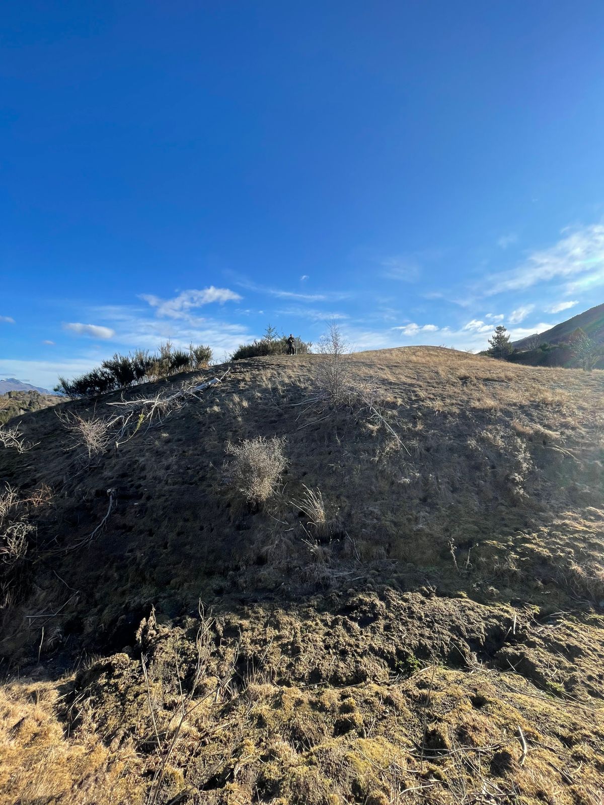 Flight park Queenstown - Speargrass Flat, New Zealand | UDisc Disc Golf ...