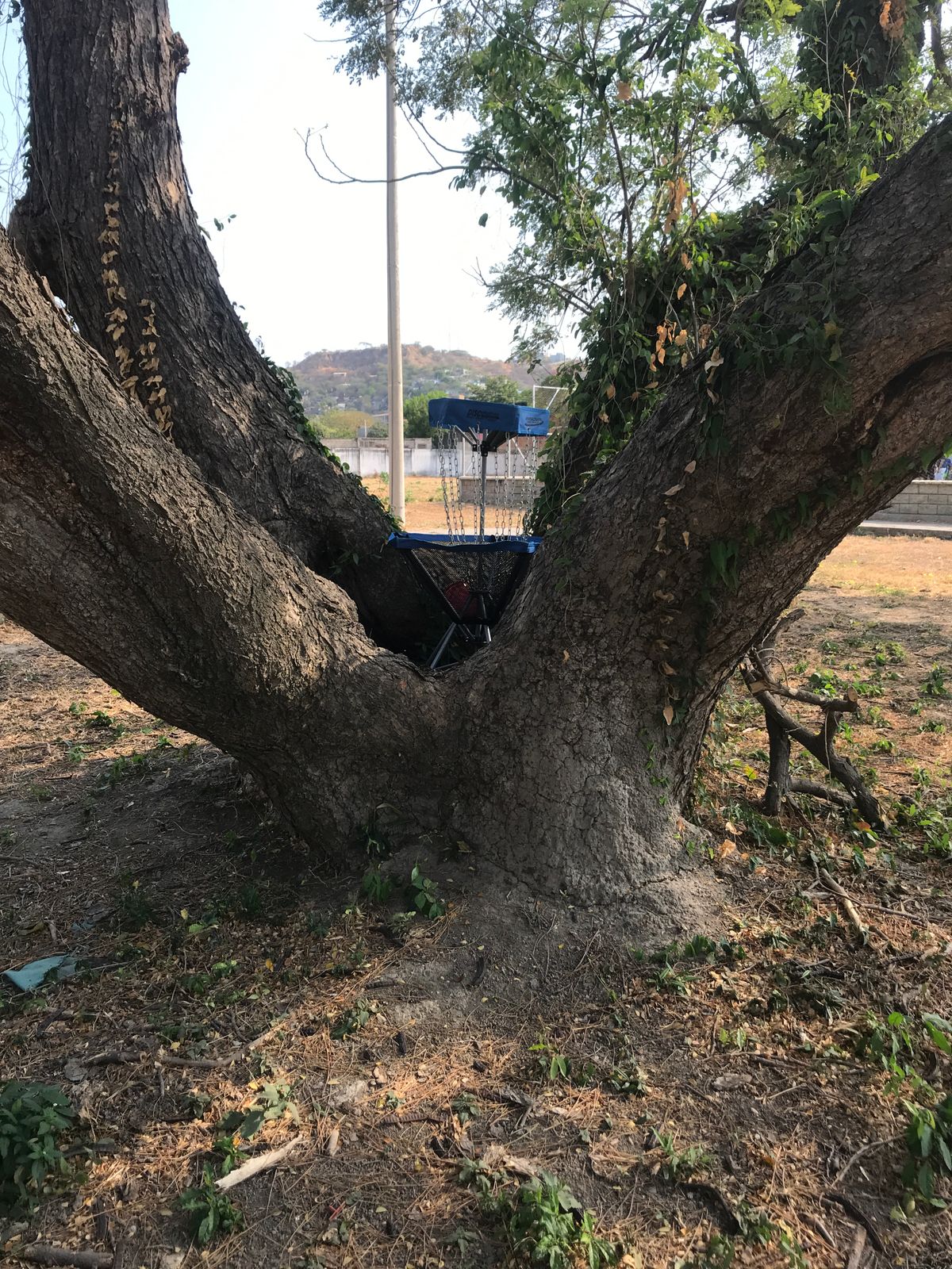 Santa Marta Disc Golf - Your Guide to Disc Golf in Santa Marta ...