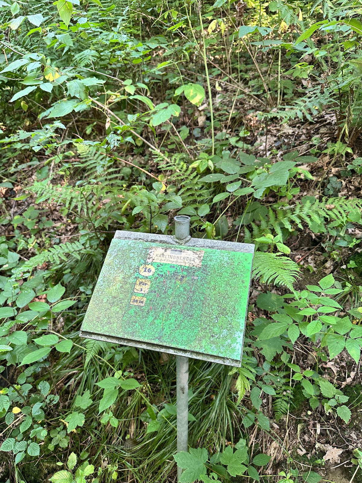 Steyr Disc Golf - Your Guide to Disc Golf in Steyr, Austria | UDisc