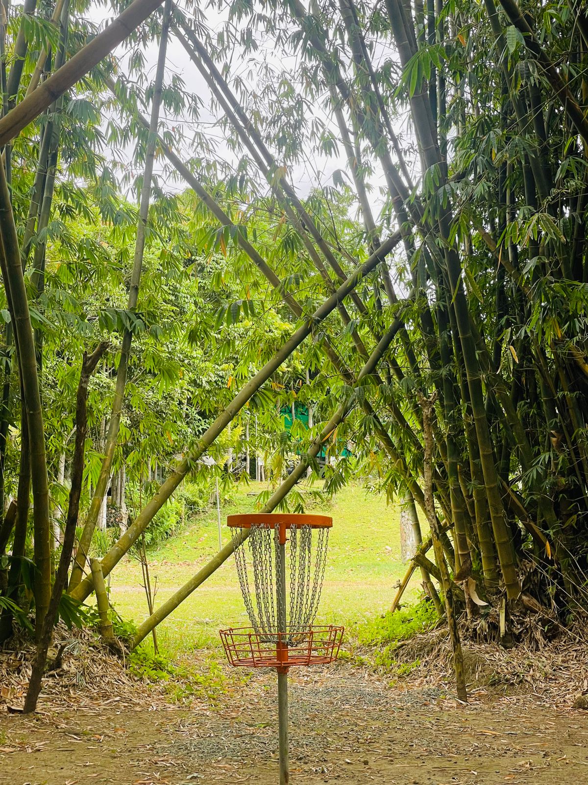Balayan Disc Golf - Your Guide to Disc Golf in Balayan, Philippines | UDisc