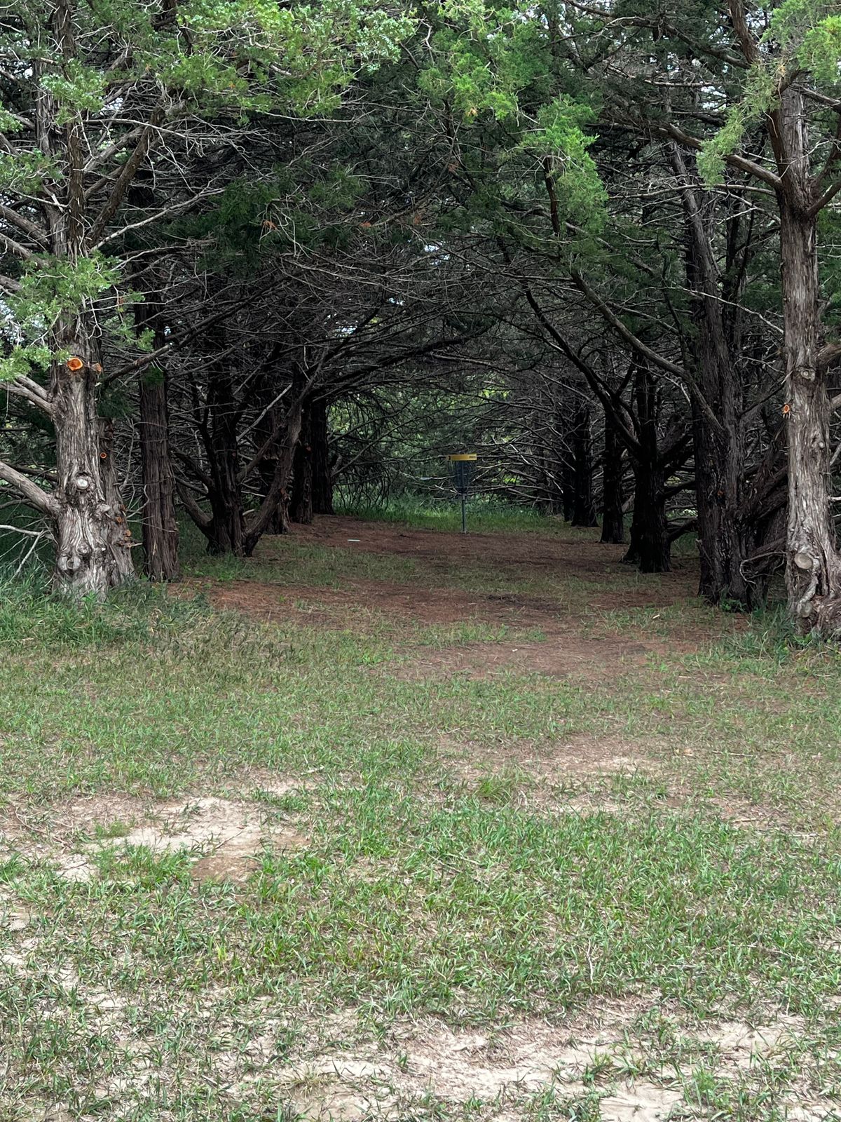 Gavins Point - Yankton, South Dakota | UDisc Disc Golf Course Directory