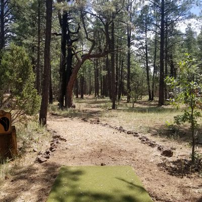 Wilderness Ranch - AZ | UDisc Disc Golf Course Directory