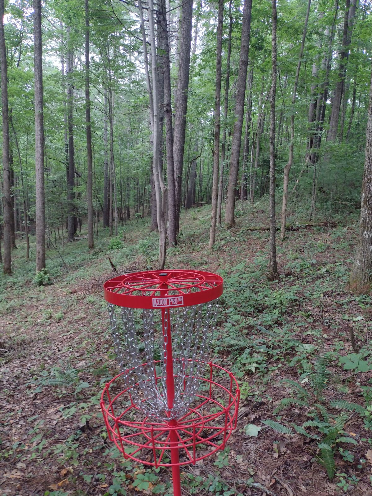 52wDiscGolf - Ellijay, GA | UDisc Disc Golf Course Directory