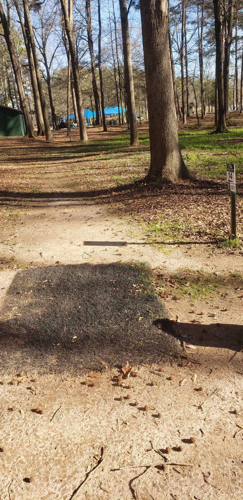 City Beach at Darwin Wright Park - Anderson, SC | UDisc Disc Golf ...