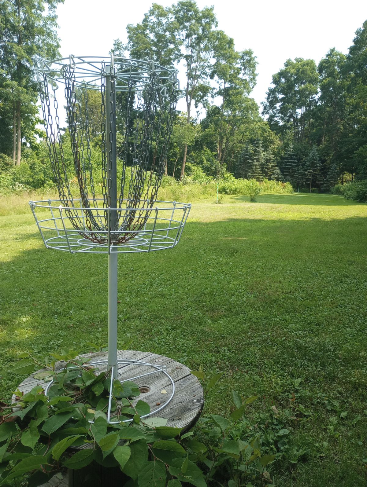 Williamsburg Disc Golf - Your Guide to Disc Golf in Williamsburg ...