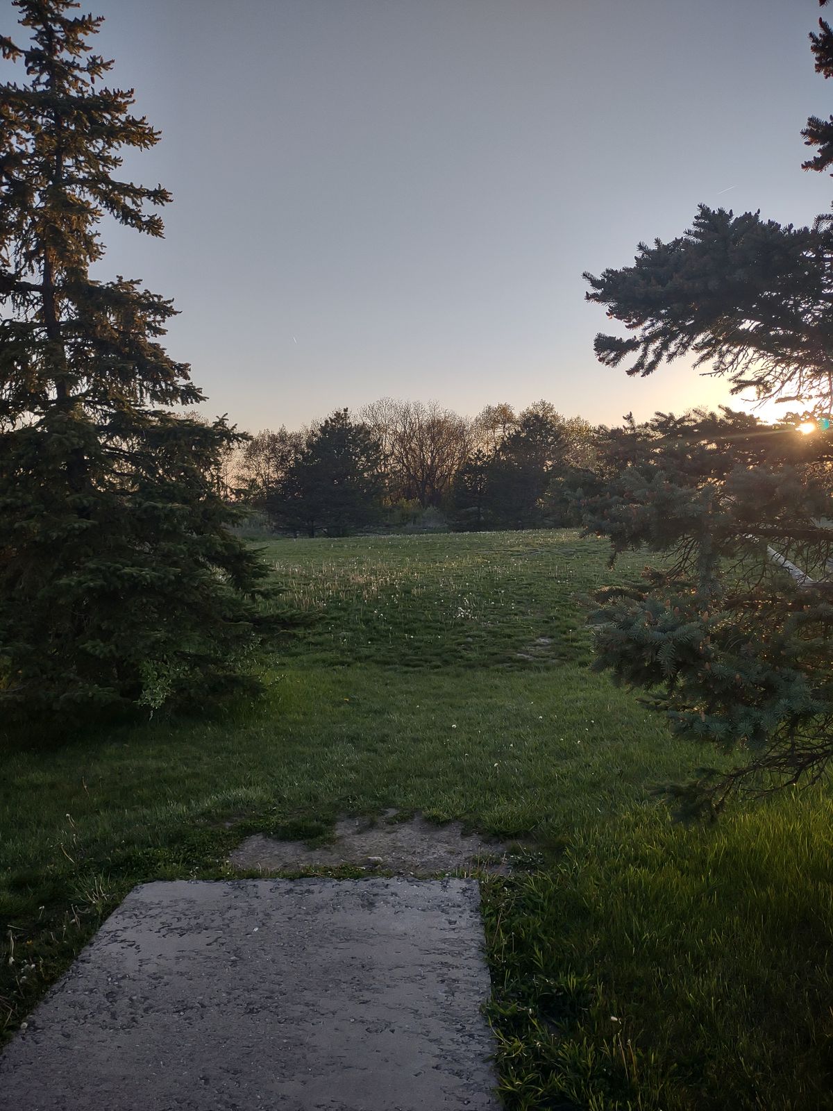 Lyons Den - Lyon Charter Township, Michigan | UDisc Disc Golf Course ...