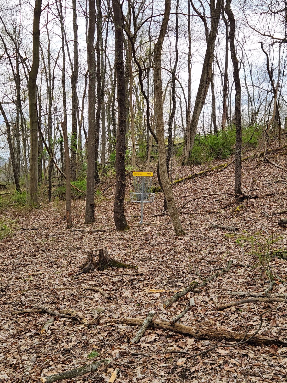 Lyons Den Disc Golf Course Tracy Lake - Pennsboro, WV | UDisc Disc Golf ...