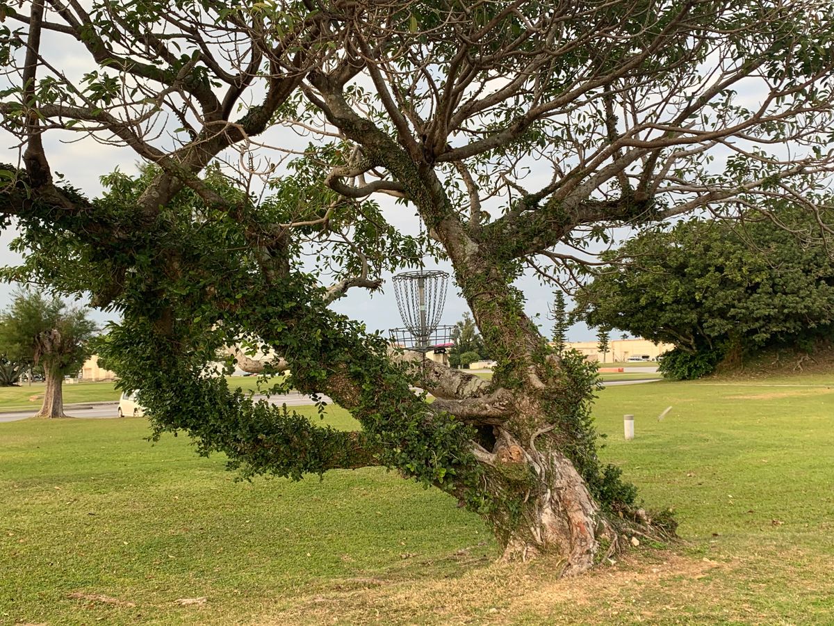 Kadena Air base, Okinawa - Okinawa, Japan | UDisc Disc Golf Course ...