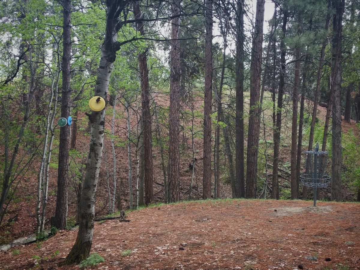 Spiritwood - Victor, Montana | UDisc Disc Golf Course Directory