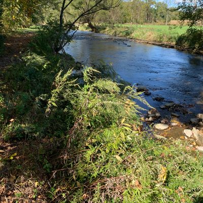 Camp Olympic Park - Emmaus, PA | UDisc Disc Golf Course Directory