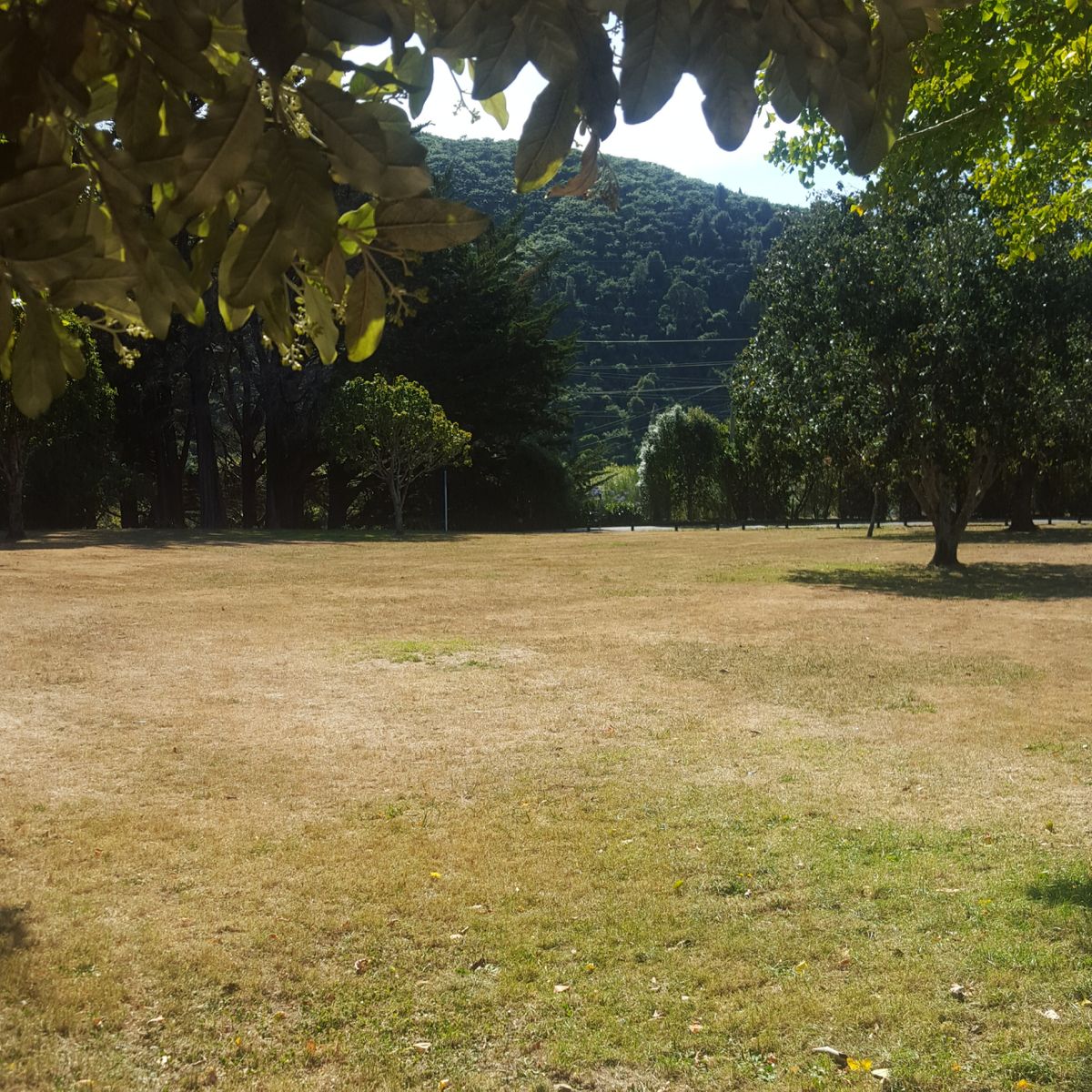 Harcourt Park - Upper Hutt, New Zealand | UDisc Disc Golf Course Directory