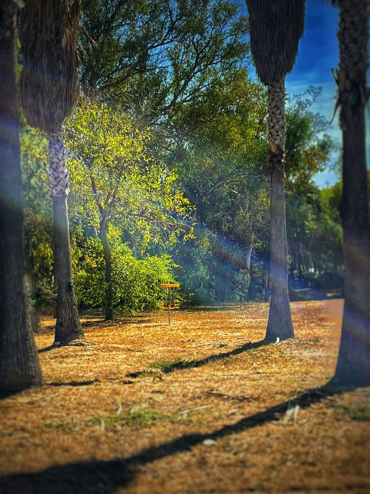 NAS Rota Disc Golf Course - El Puerto de Santa María, Spain | UDisc ...