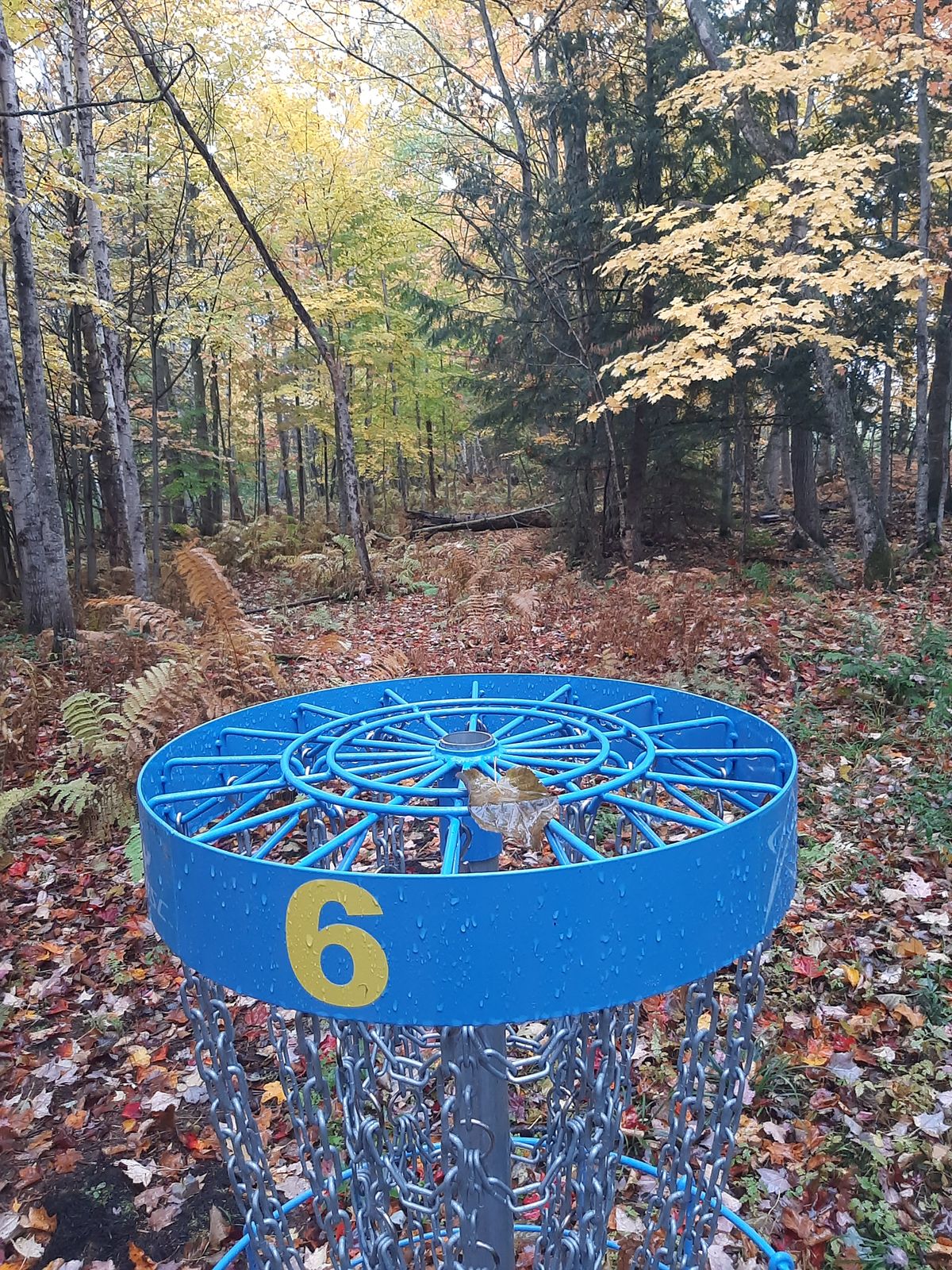 Chassell Disc Golf - Your Guide to Disc Golf in Chassell, Michigan | UDisc