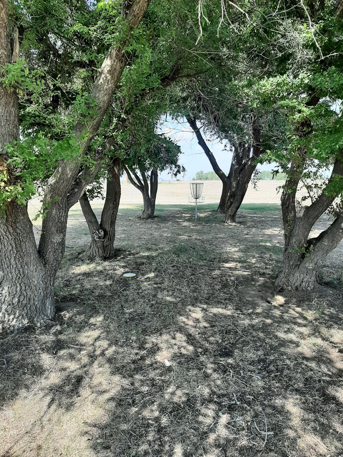 Dam Disc Golf - Bassano, AB, Canada | UDisc Disc Golf Course Directory