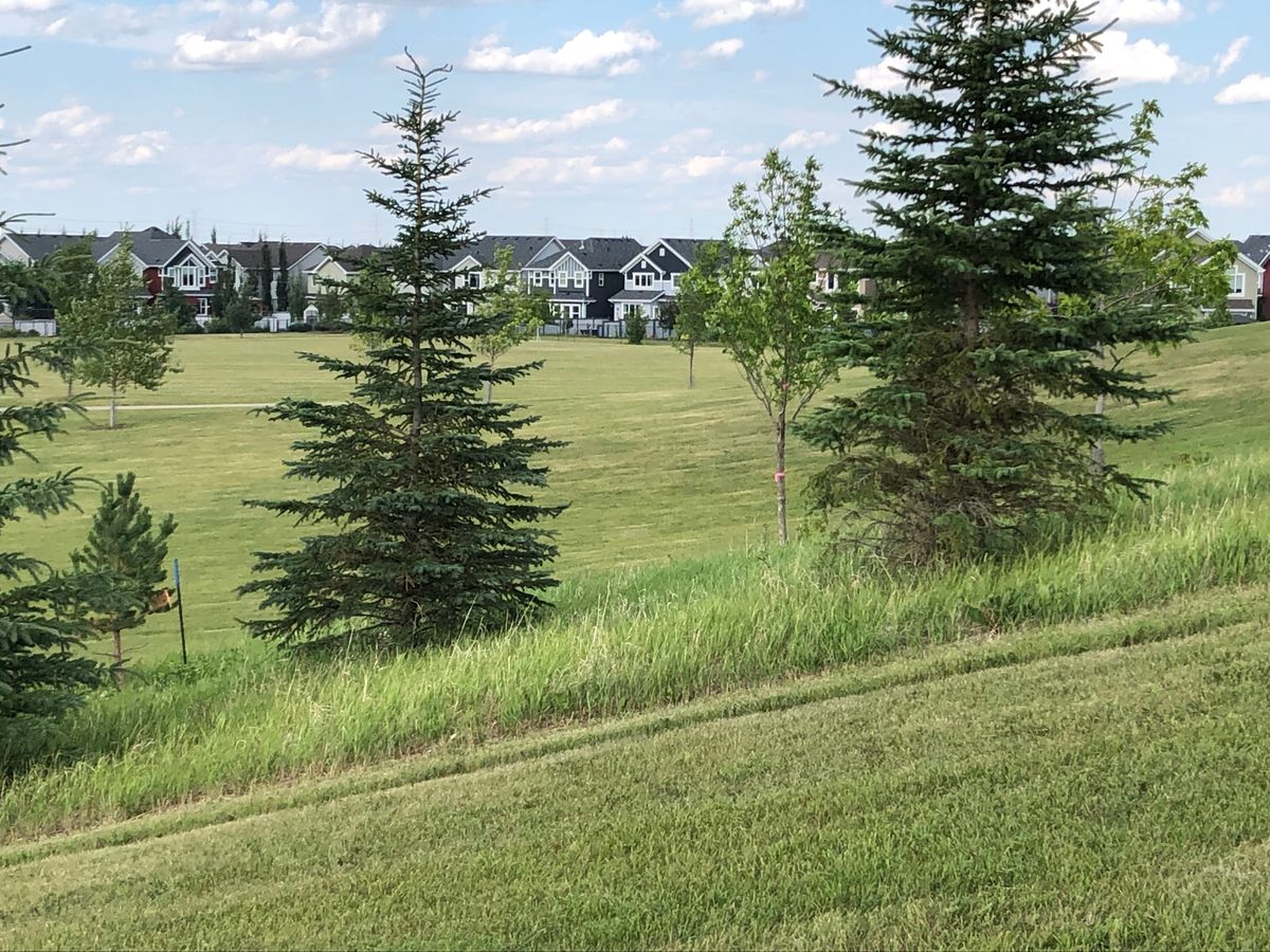 Summerside Object Course - Edmonton, AB, Canada | UDisc Disc Golf ...