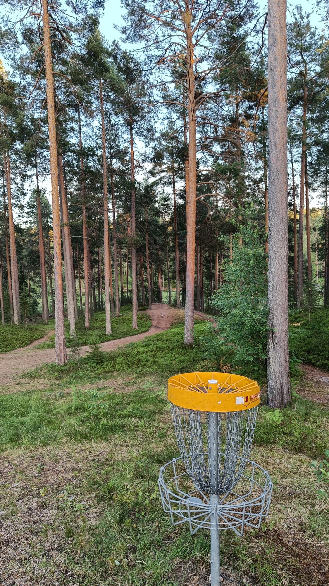 Vuokatti Disc Golf Park - Vuokatti, Finland | UDisc Disc Golf Course ...