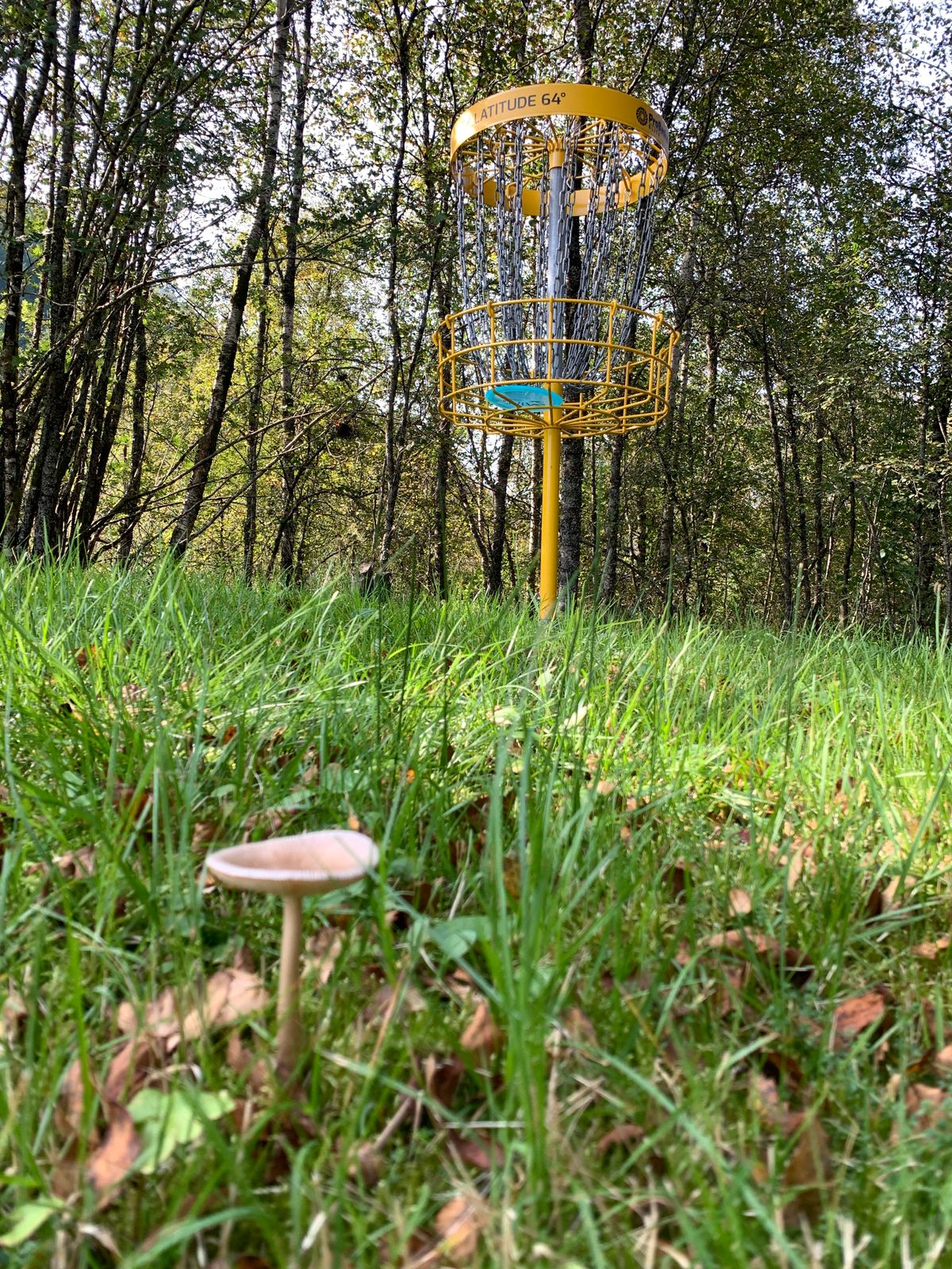 Austebygda Fritidspark DiscGolf - Frekhaug, Norway | UDisc Disc Golf ...