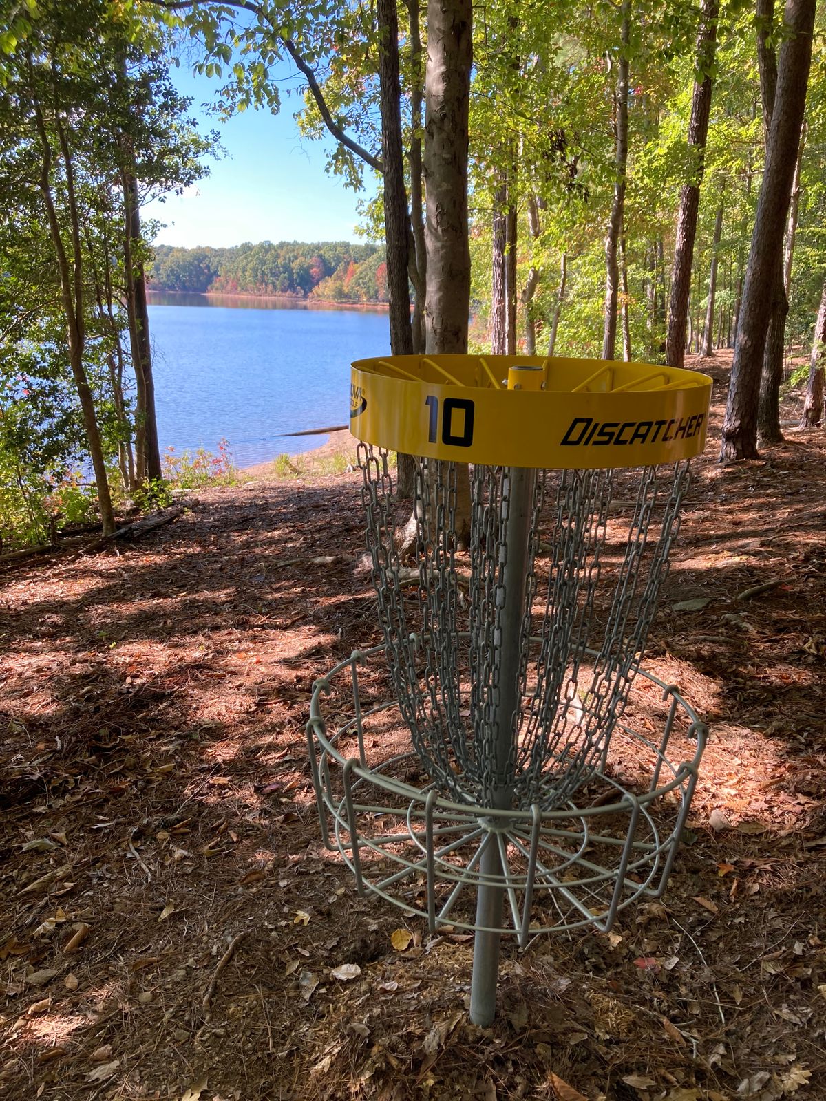 Wake Forest Disc Golf - Your Guide to Disc Golf in Wake Forest, North ...