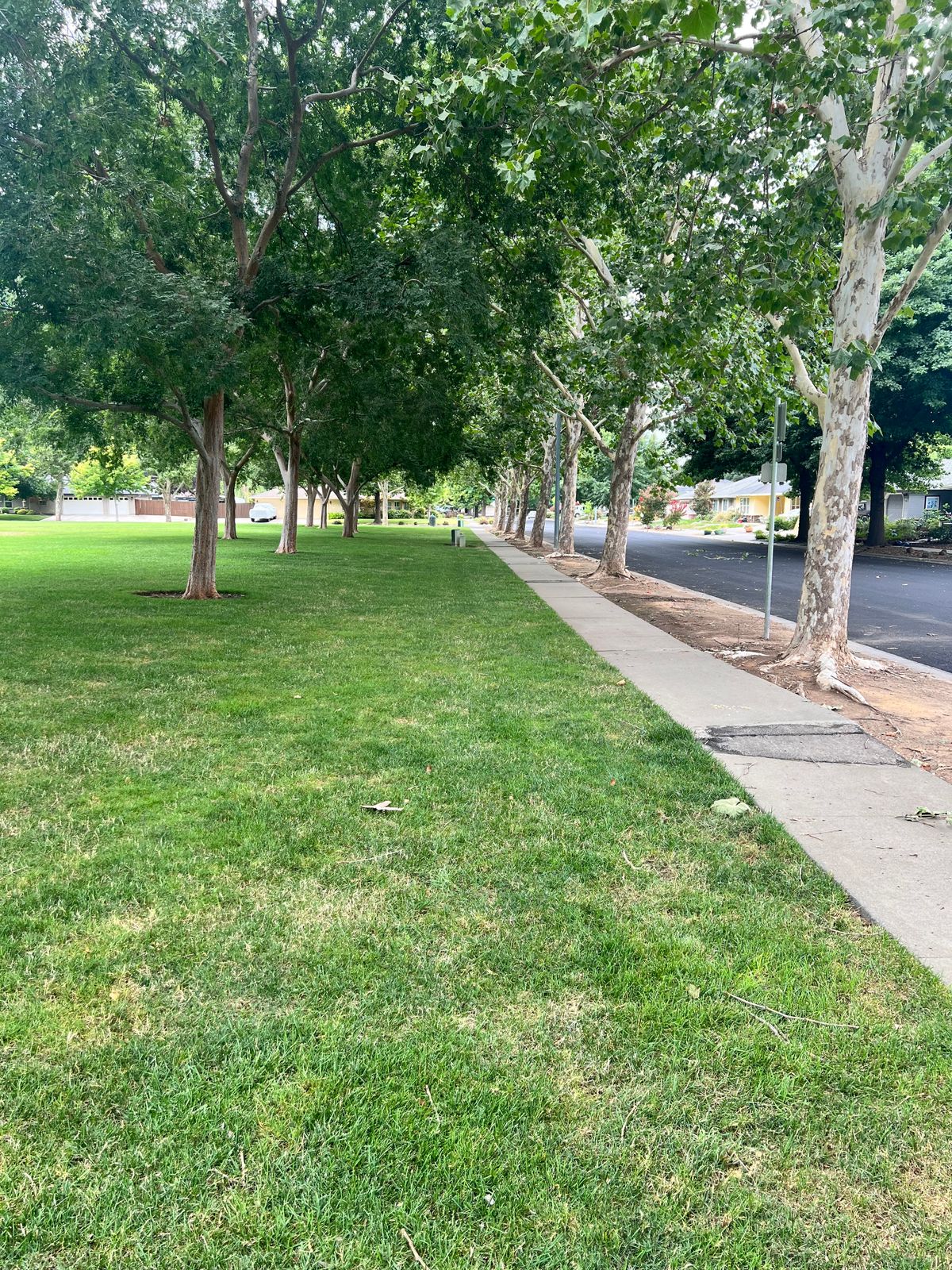 Peterson Park - Chico, California | UDisc Disc Golf Course Directory