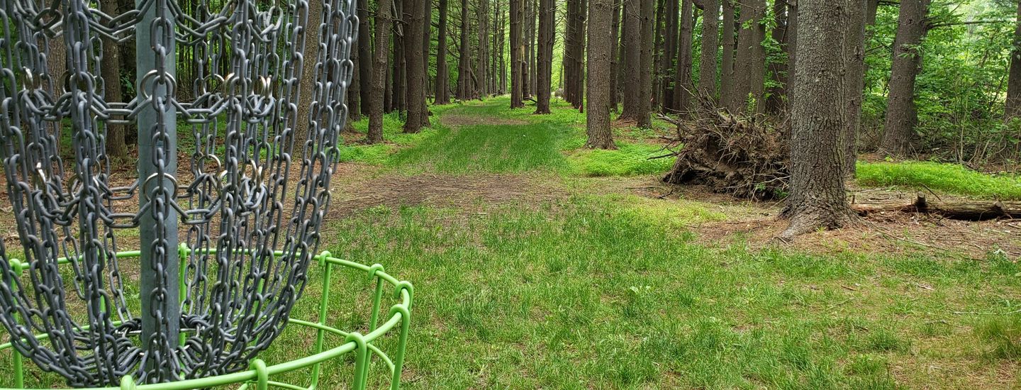 Merced Disc Golf Club Holiday DUBS | UDisc Leagues BETA